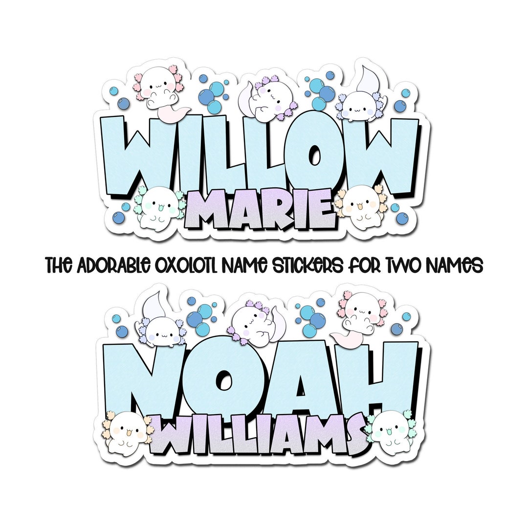 Axolotl Name Sticker: Custom Waterproof Vinyl Decal - Etsy