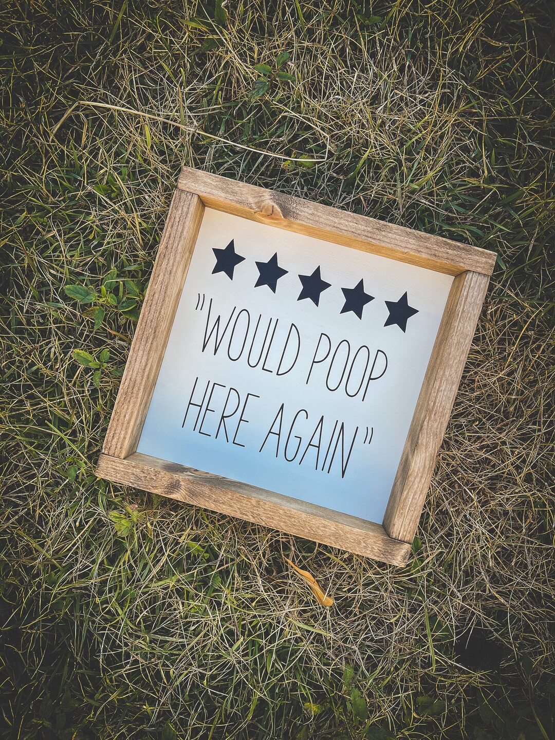 Five Star Would Poop Here Again Wood Shelf Display: Funny Sign, House ...