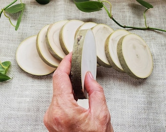 Aspen Tree Wood Slabs - Etsy