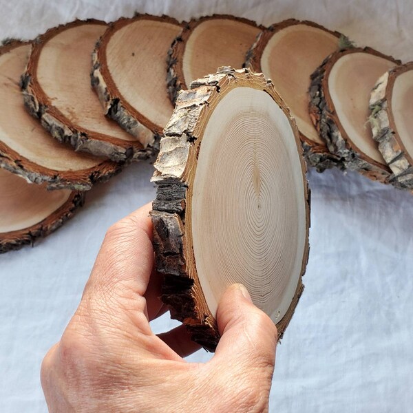 Rustic Wood Slices - Etsy