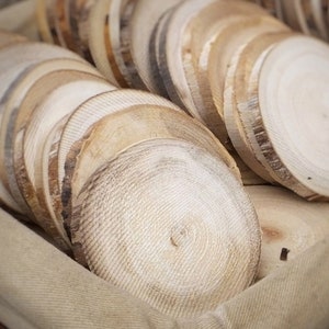 100-wood Slices, Bulk 3 Aspen Wood Rounds, Thin Wood Ornaments, Natural ...