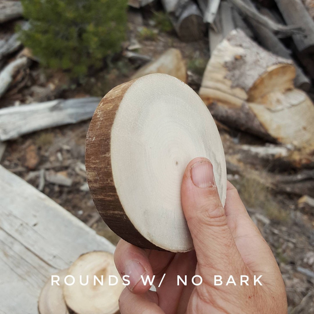 Aspen Wood Slice, 3" Wood Round, Natural Tree Slab, Tree Cookie ...