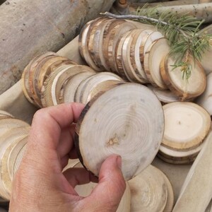 100-wood Slices, Bulk 3 Aspen Wood Rounds, Thin Wood Ornaments, Natural ...