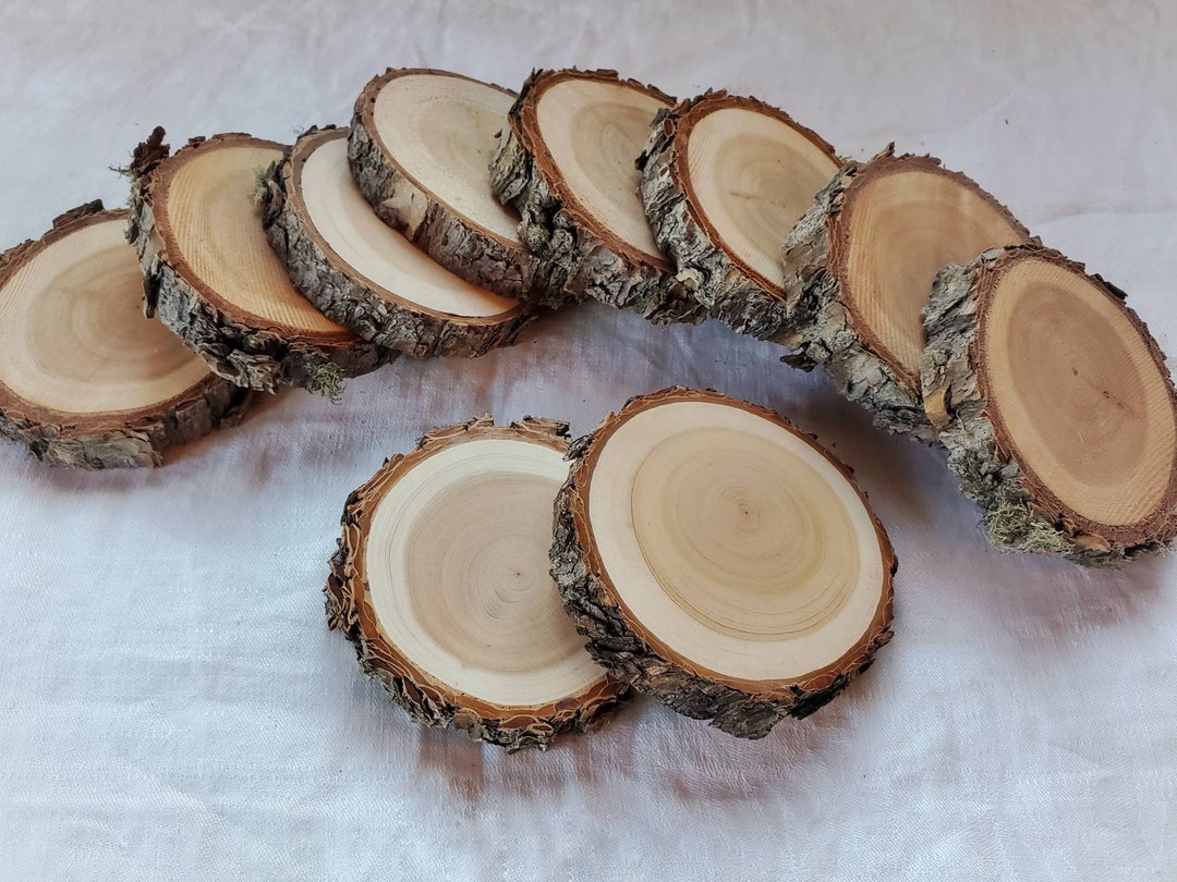 Bulk Small Tree Branch Slices, Rough Wood Slices, DIY Wood Ornaments ...
