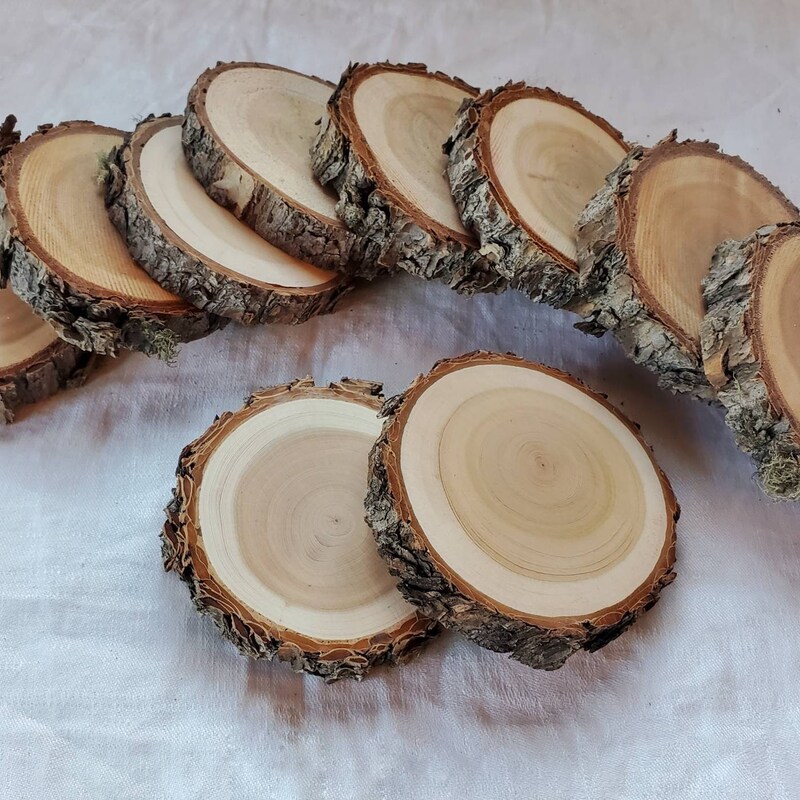 Tree Branch Slices - Etsy