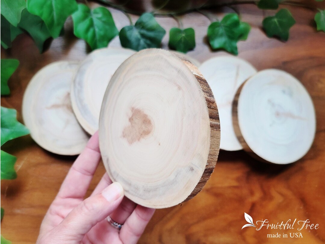 Big Wood Slice 4 Inch Aspen End Grain Coaster Size Round Eco Friendly ...