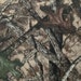 True Timber Camo Fabric, Camouflage Cotton Fabric, HTC Fall, Licensed ...