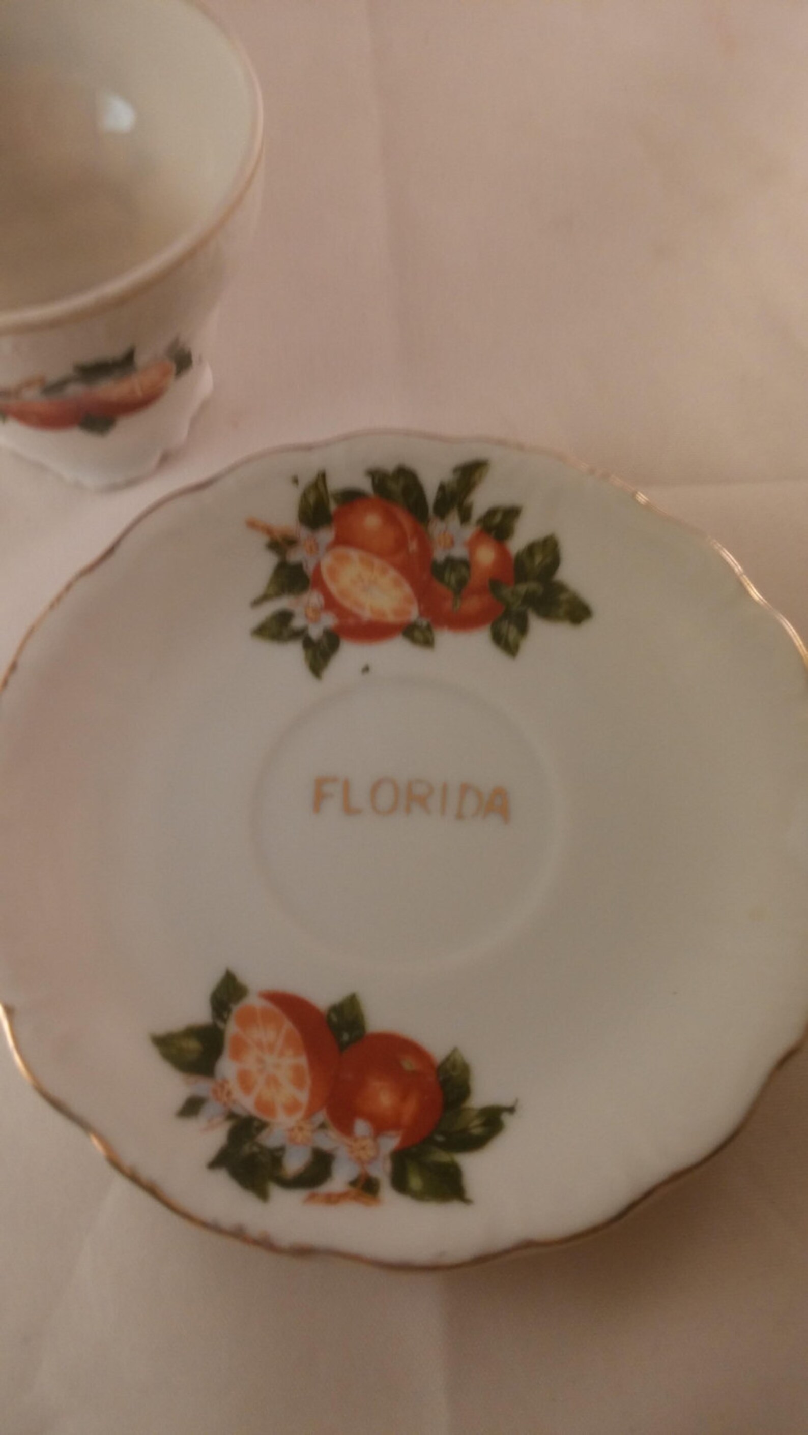 Souvenir Teacup-florida Oranges Mini Teacup and Saucer Souvenir Tourist ...