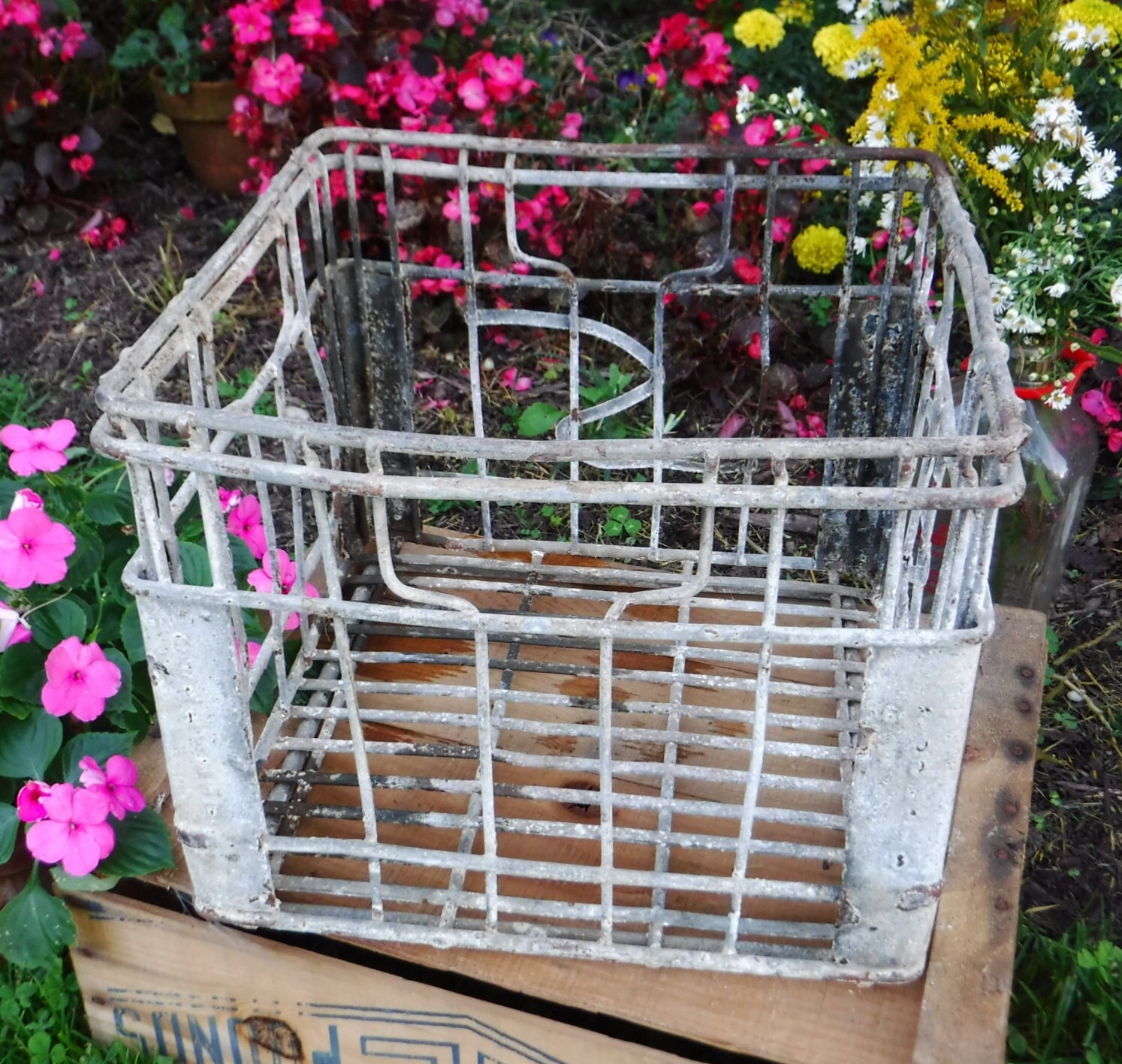 Vintage Metal Milk Crate-sealtest Dairy Wire Crate-rare Big S ...