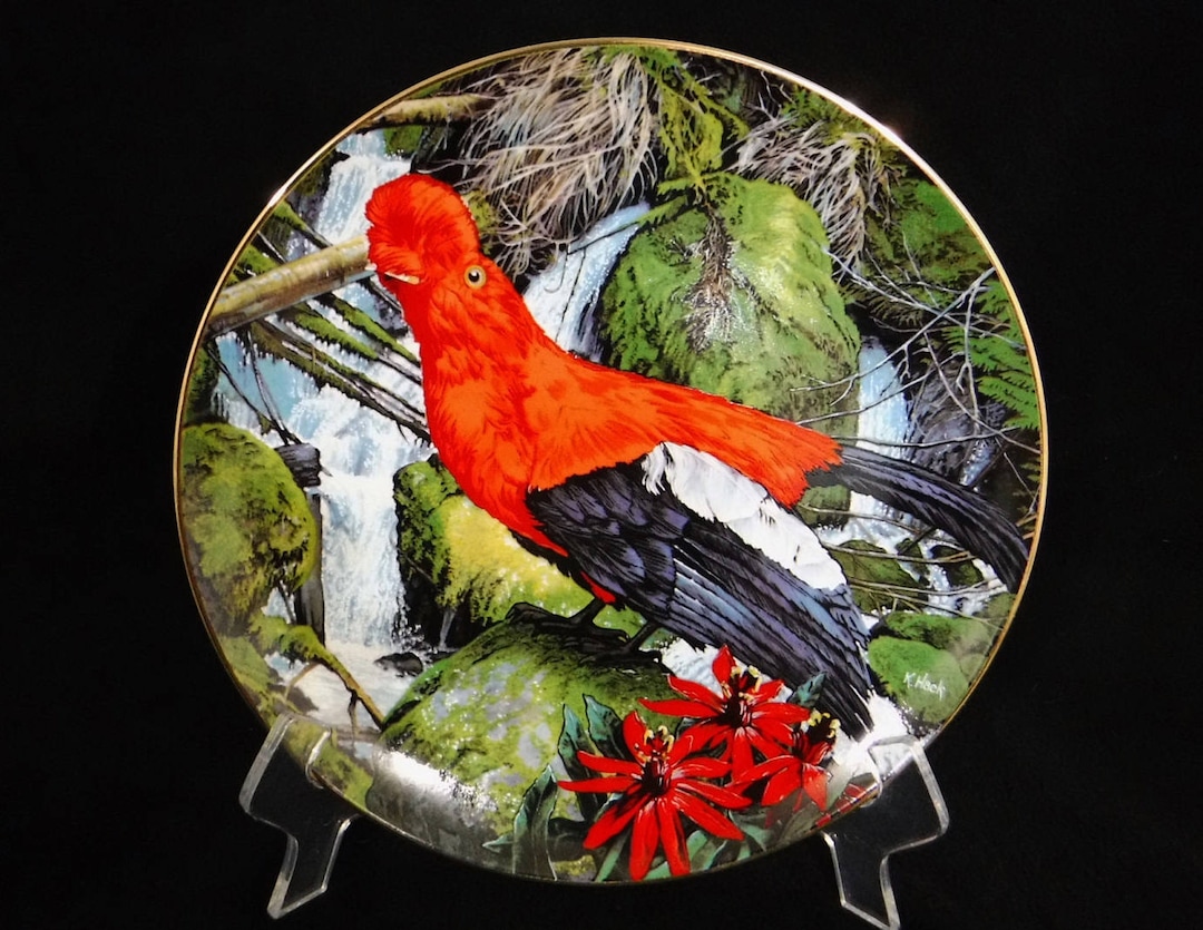 Decorative Tropical Bird Plate-royal Cornwall Limited Edition by Konrad ...