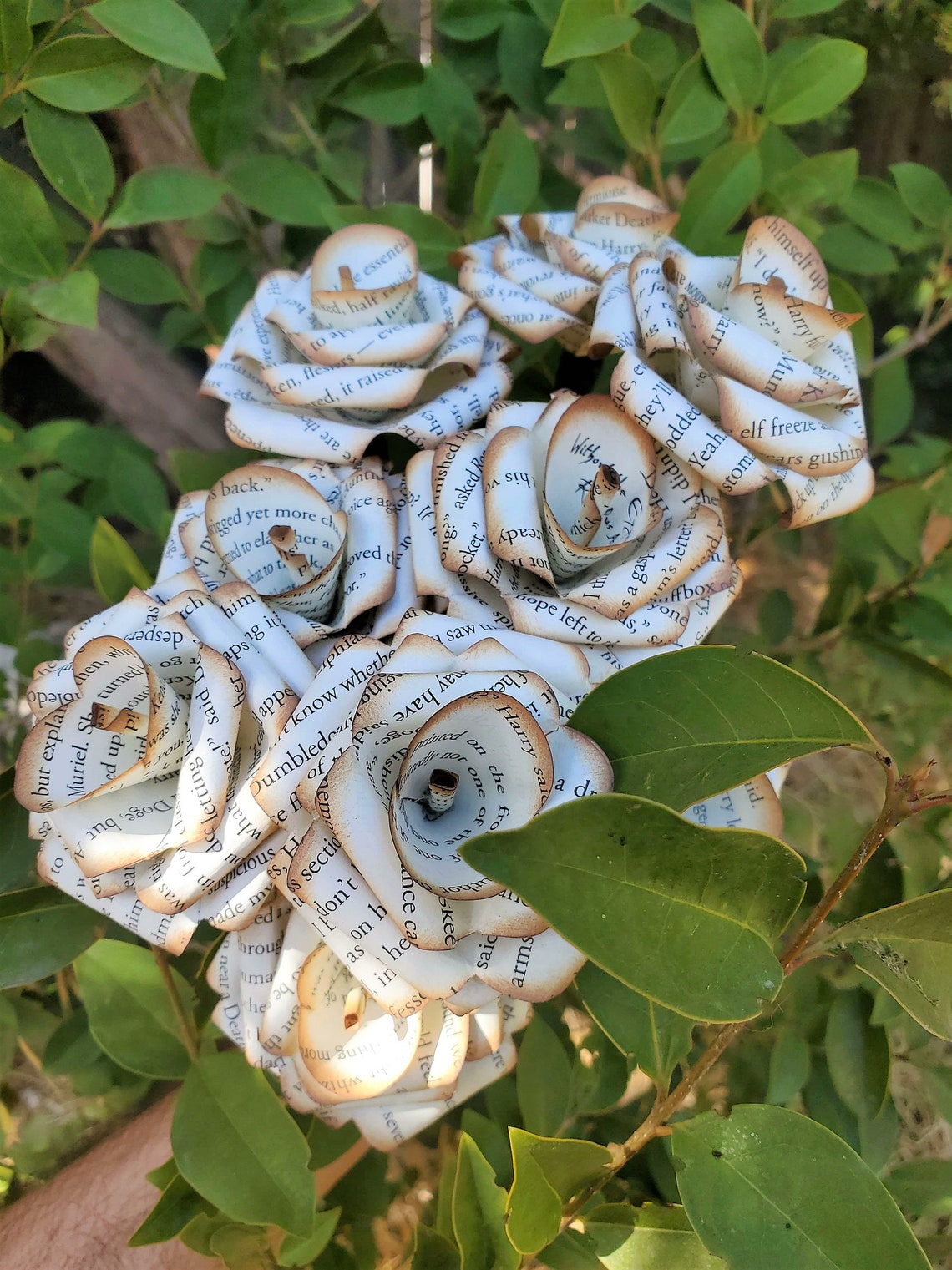 Custom Harry Potter Roses Single Rose - Etsy