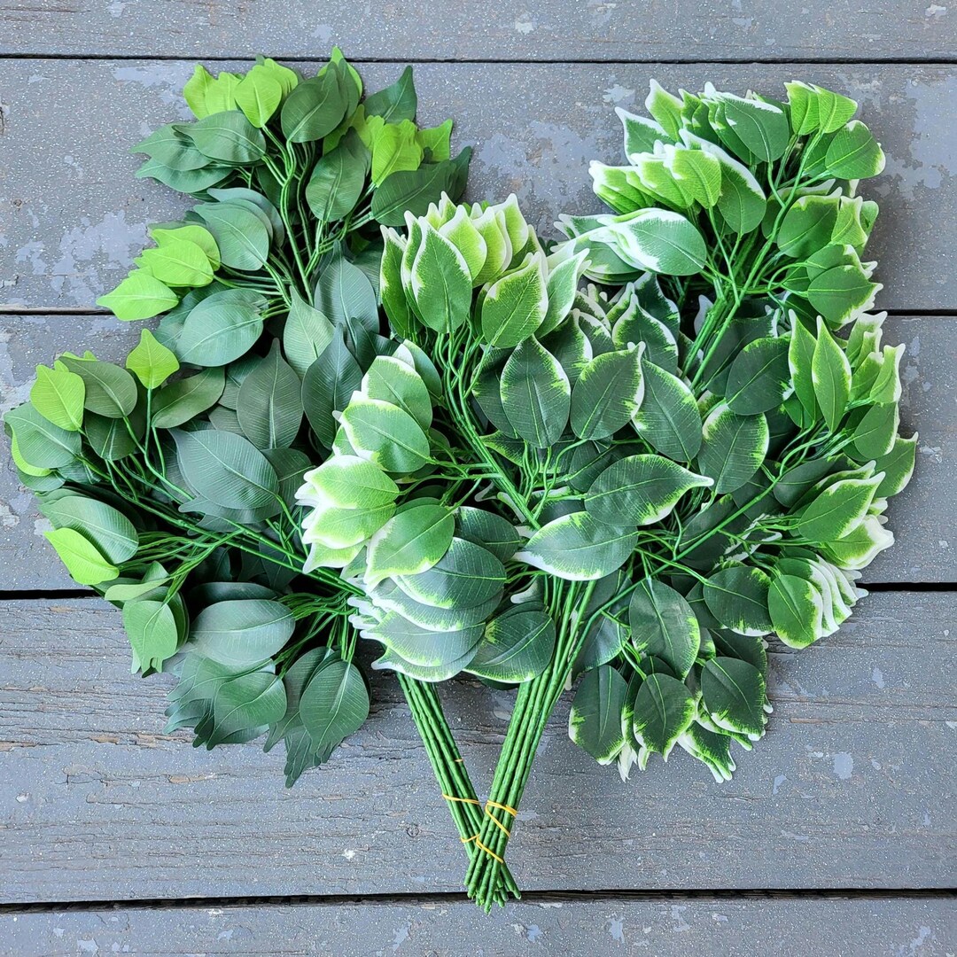 23" Artificial Ficus Stems Bundle of 12, Green or Variegated Ficus ...
