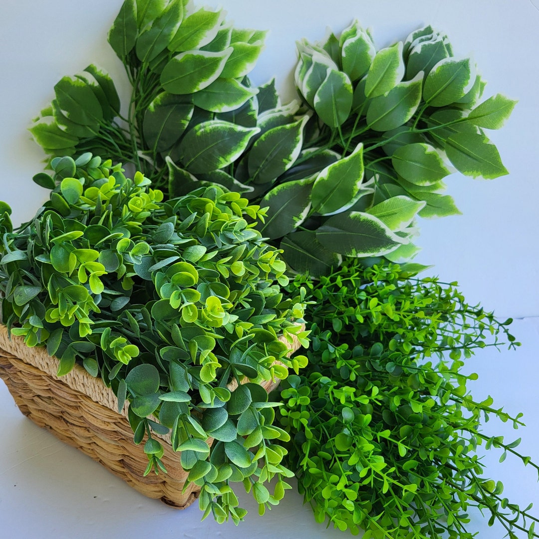 DIY Greenery Box, Greenery Supply Box Starter Kit, Wreath Making ...
