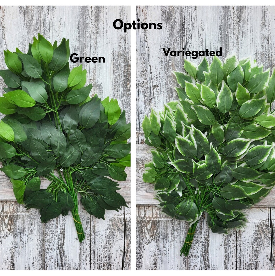 23 Artificial Ficus Stems Bundle of 12, Green or Variegated Ficus ...