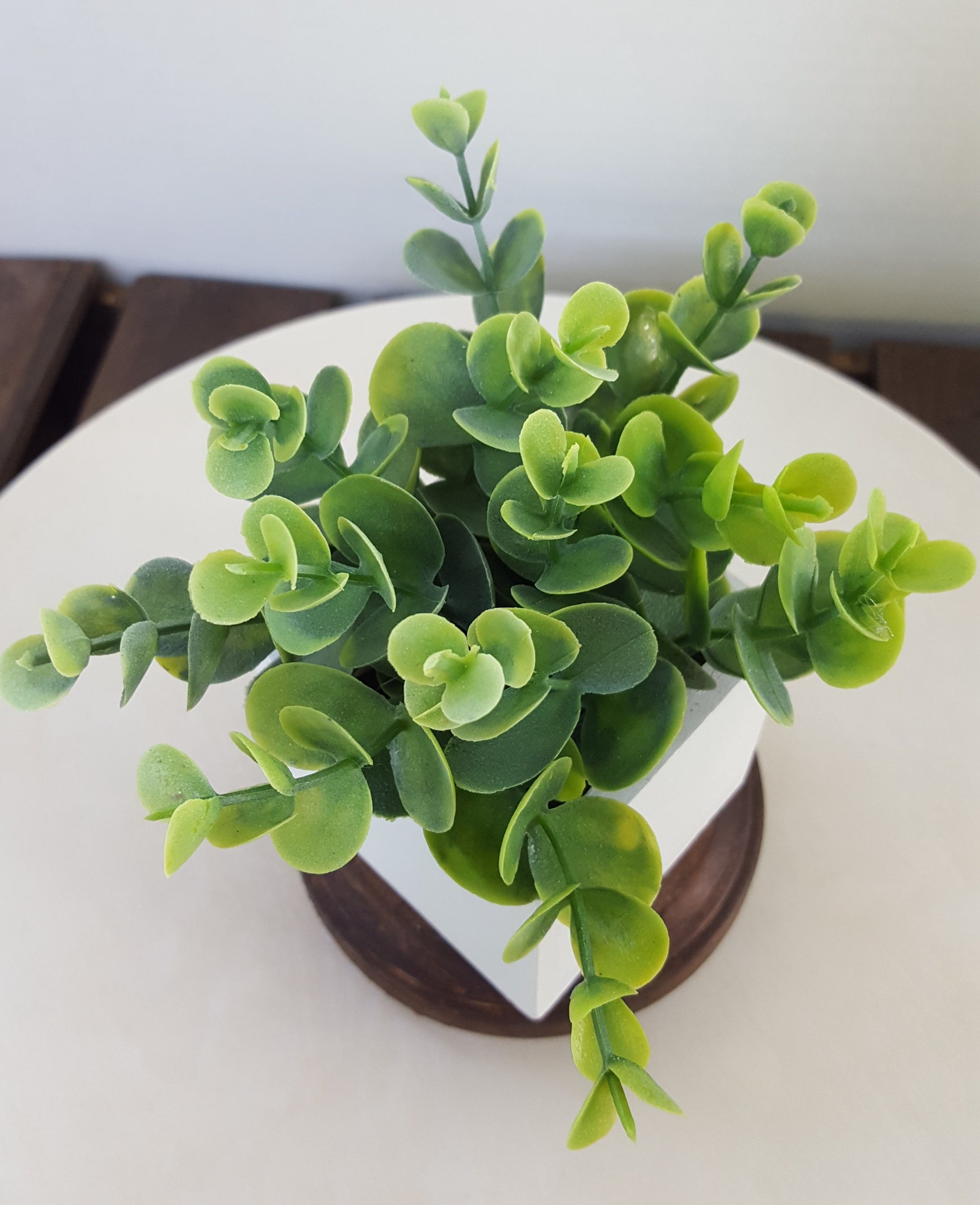 Mini Plant Arrangement Tiered Tray Greenery Mini Farmhouse | Etsy