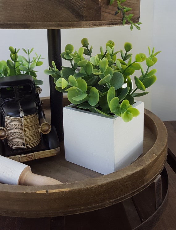 Mini Plant Arrangement Tiered Tray Greenery Mini Farmhouse | Etsy