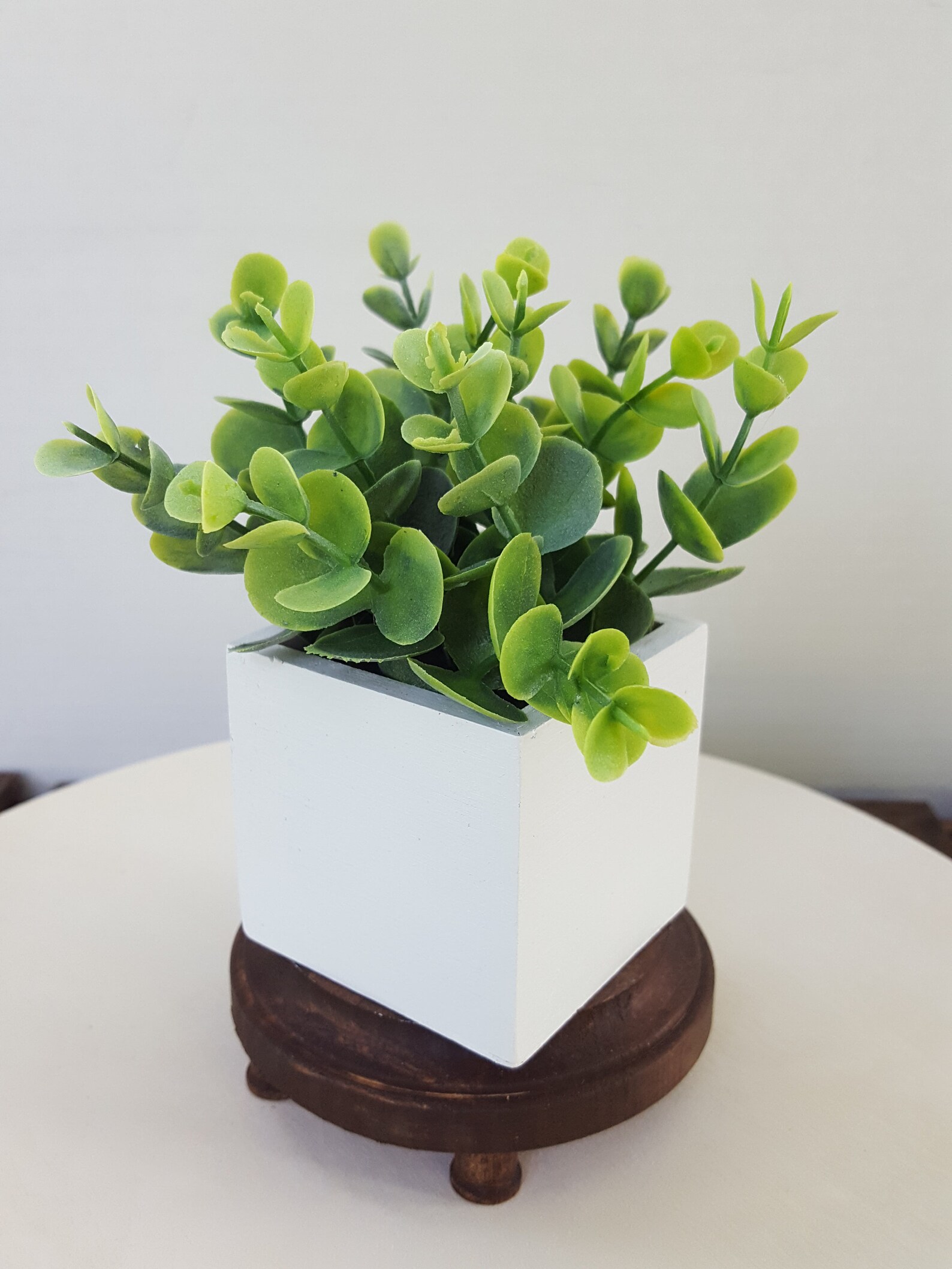 Mini Plant Arrangement Tiered Tray Greenery Mini Farmhouse | Etsy