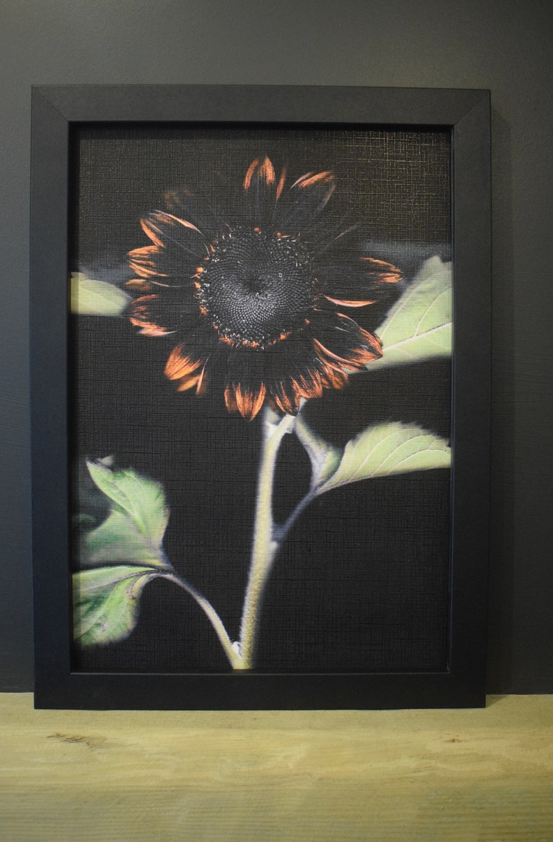 Sunflower Art Print - Etsy