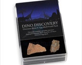 Dinosaur Discovery Fossil Gift Pack Dinosaur Egg Fossil - Etsy