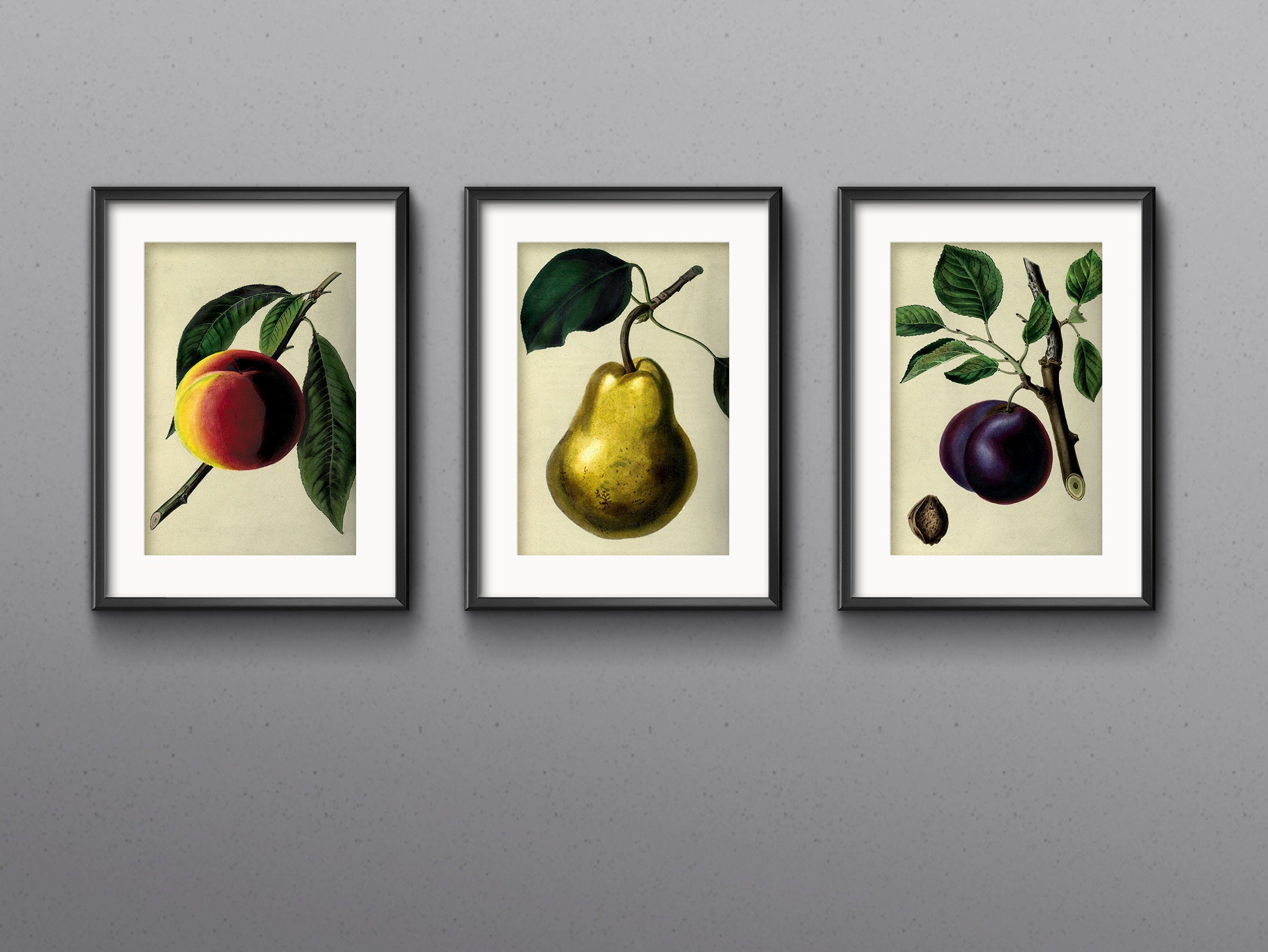 Vintage Fruit Printable Vintage Fruit Kitchen Print Vintage - Etsy