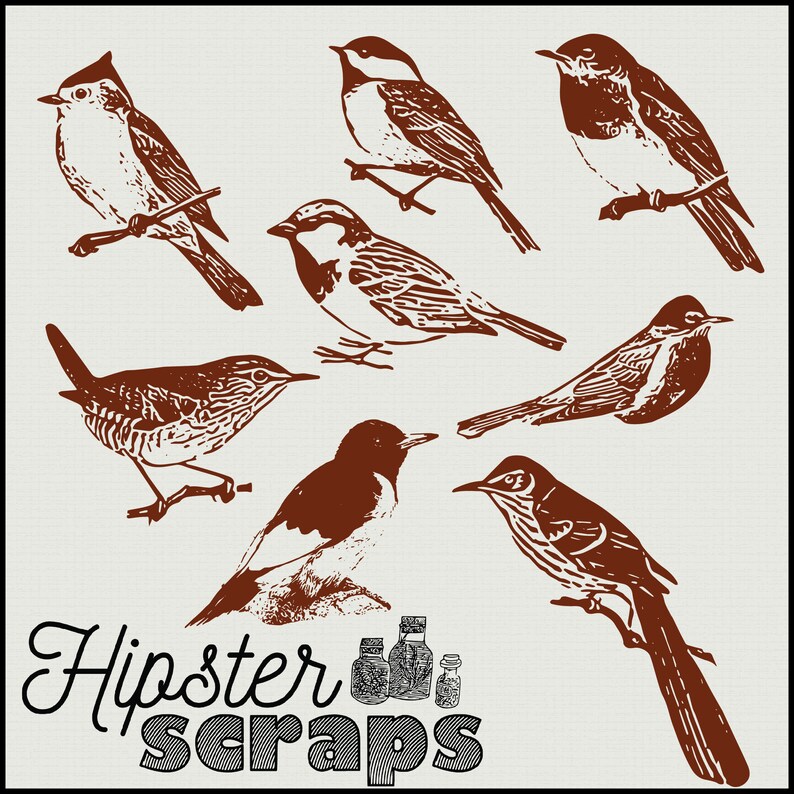 56 Digital Bird Stamps 8 Bird Clipart Designs in 7 Different - Etsy
