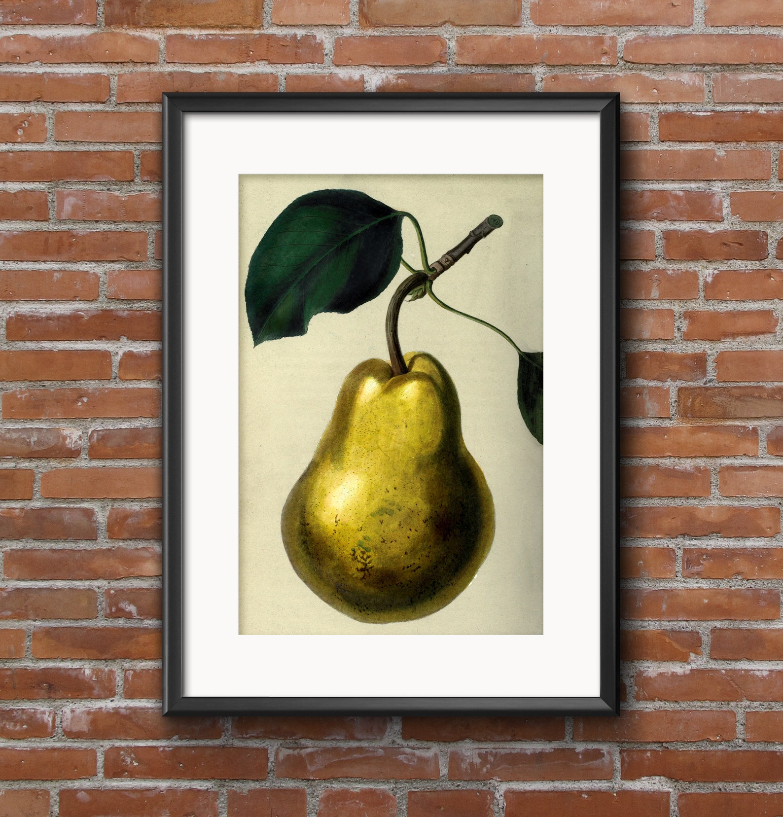 Vintage Pear Printable, Vintage Pear Kitchen Print, Pear Vintage Print ...