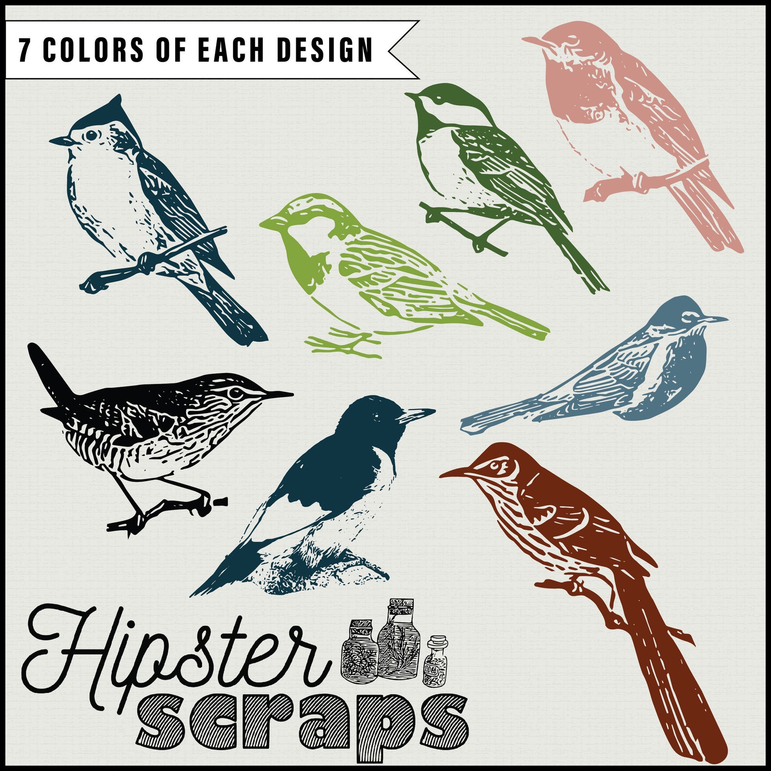 56 digital bird stamps 8 bird clipart designs in 7 different | Etsy