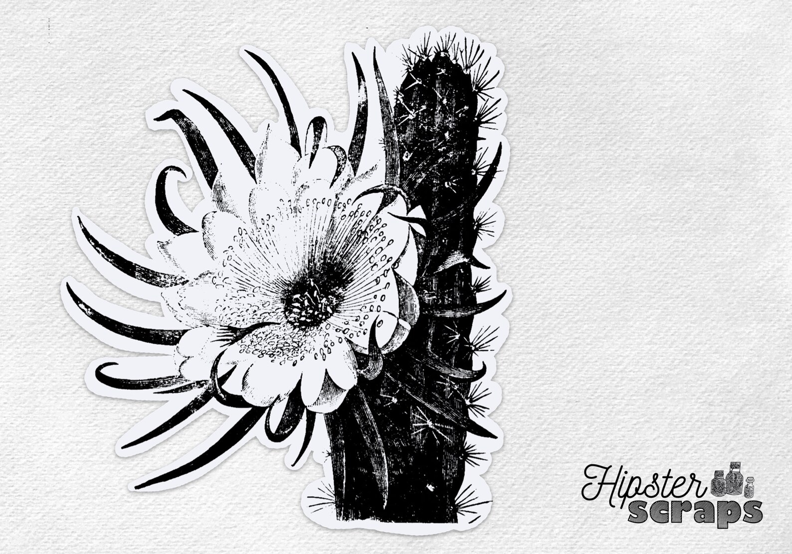 Cactus Flowers Clip Art Set, Cactus Flower Digital Stamps, Cactus Black ...