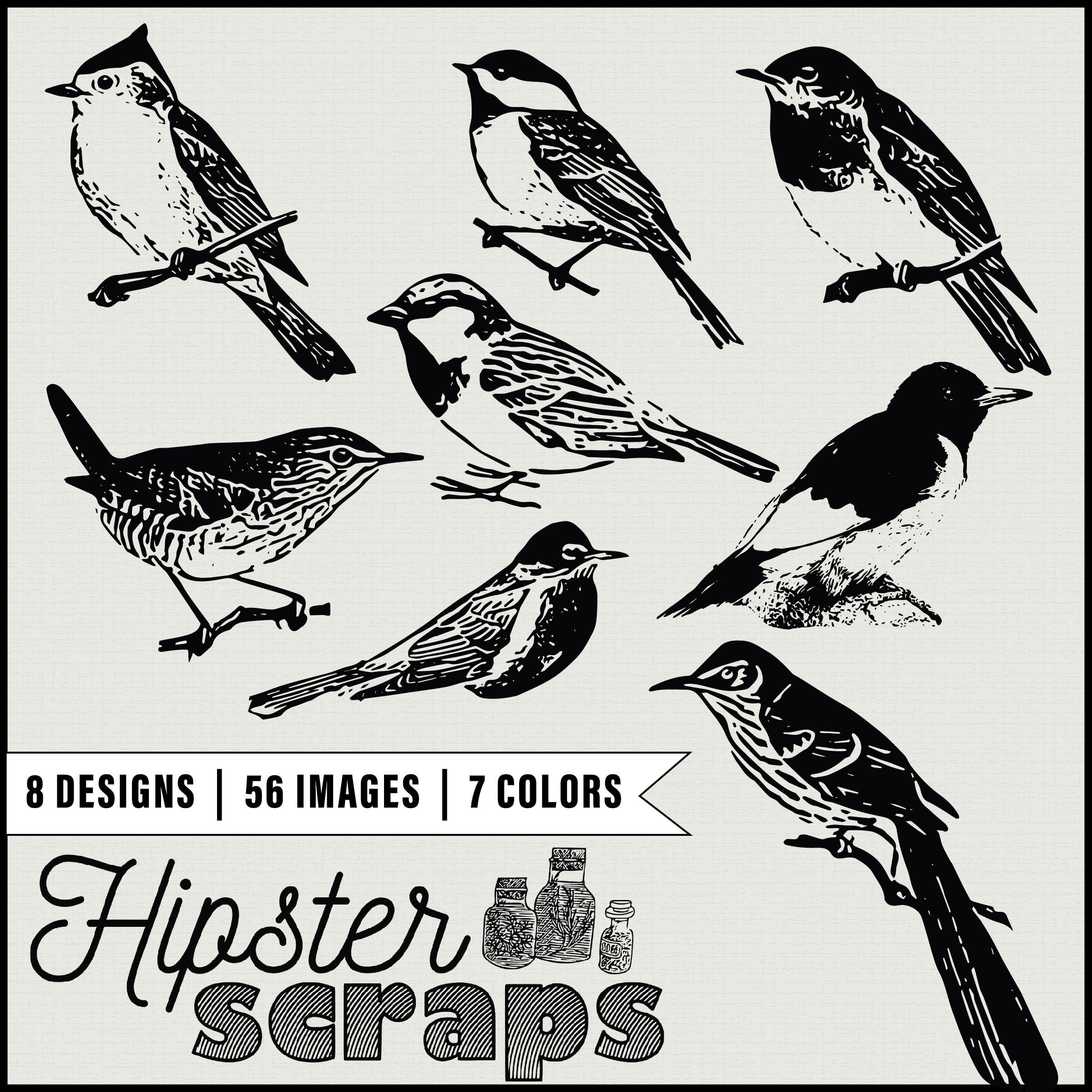 56 Digital Bird Stamps 8 Bird Clipart Designs in 7 Different - Etsy