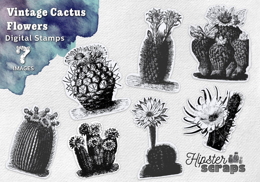Cactus Flowers Clip Art Set, Cactus Flower Digital Stamps, Cactus Black ...
