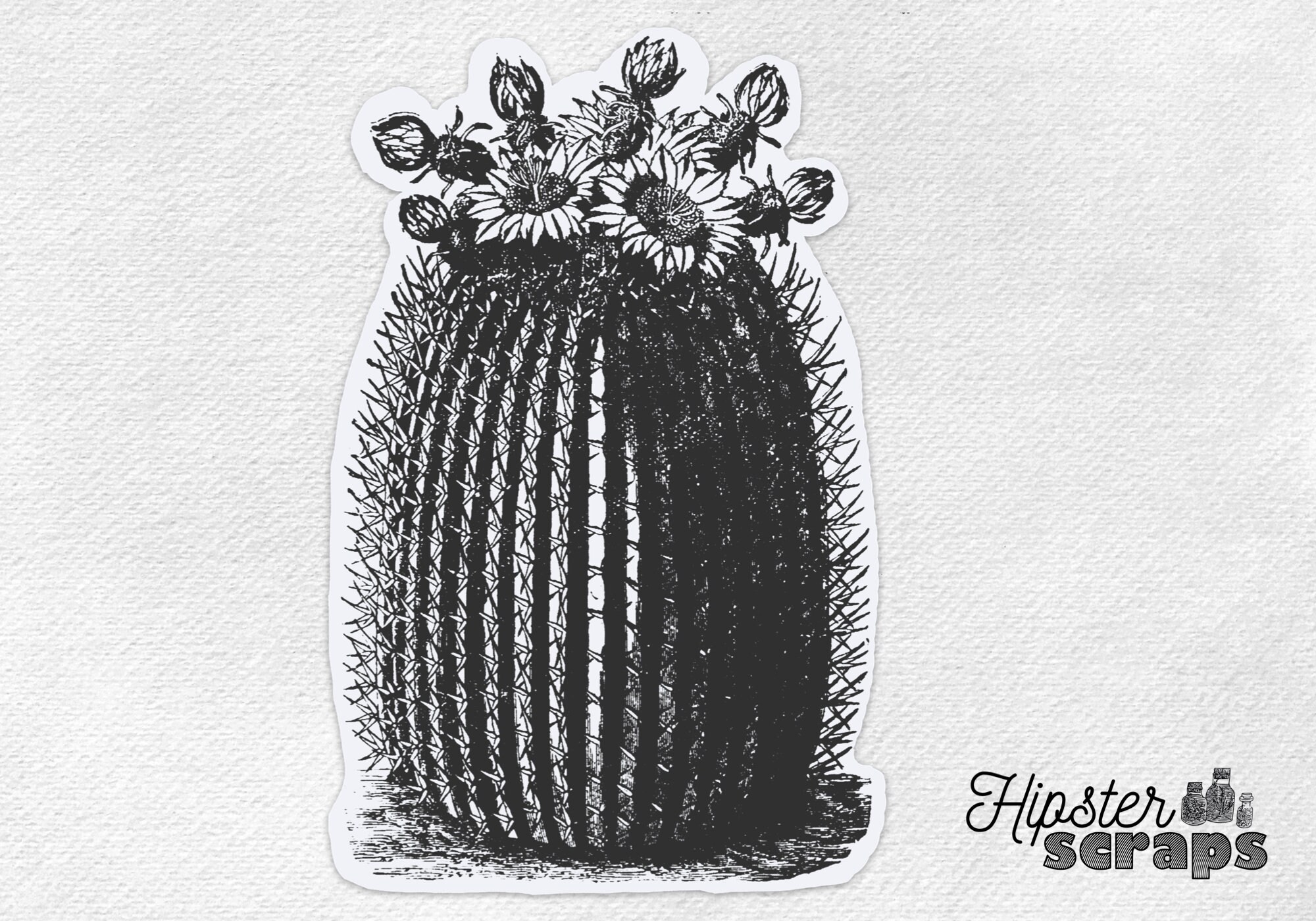 Cactus Flowers Clip Art Set, Cactus Flower Digital Stamps, Cactus Black ...