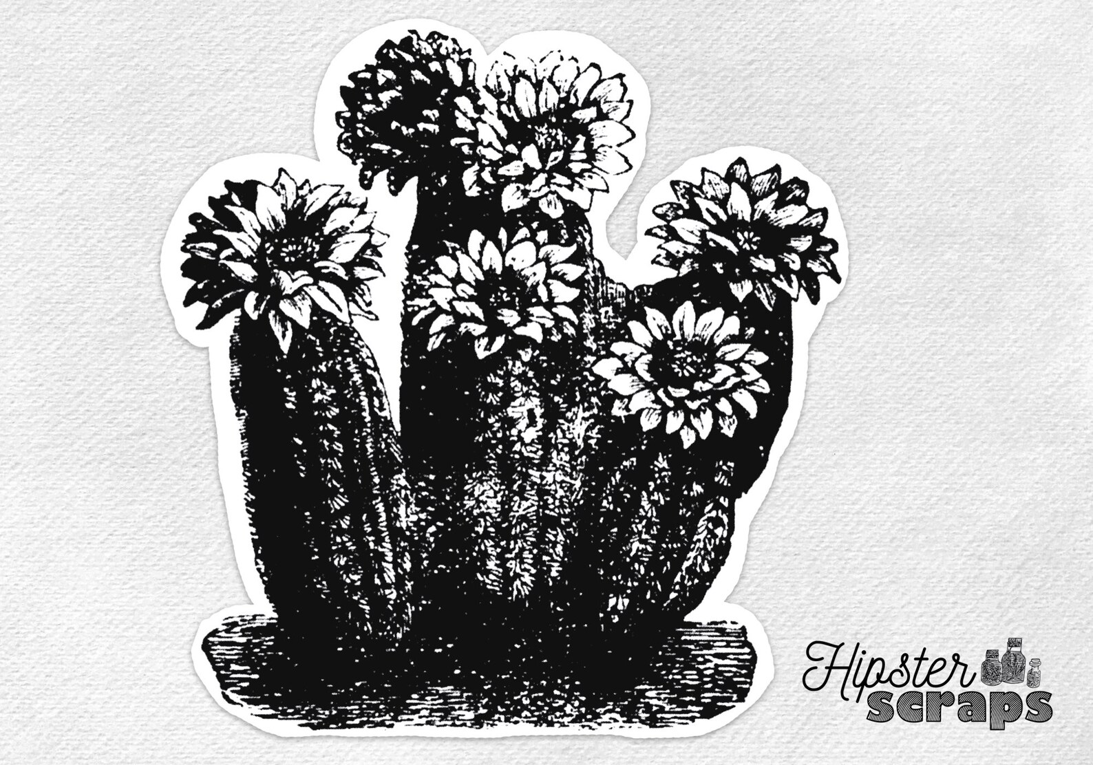 Cactus Flowers Clip Art Set, Cactus Flower Digital Stamps, Cactus Black ...