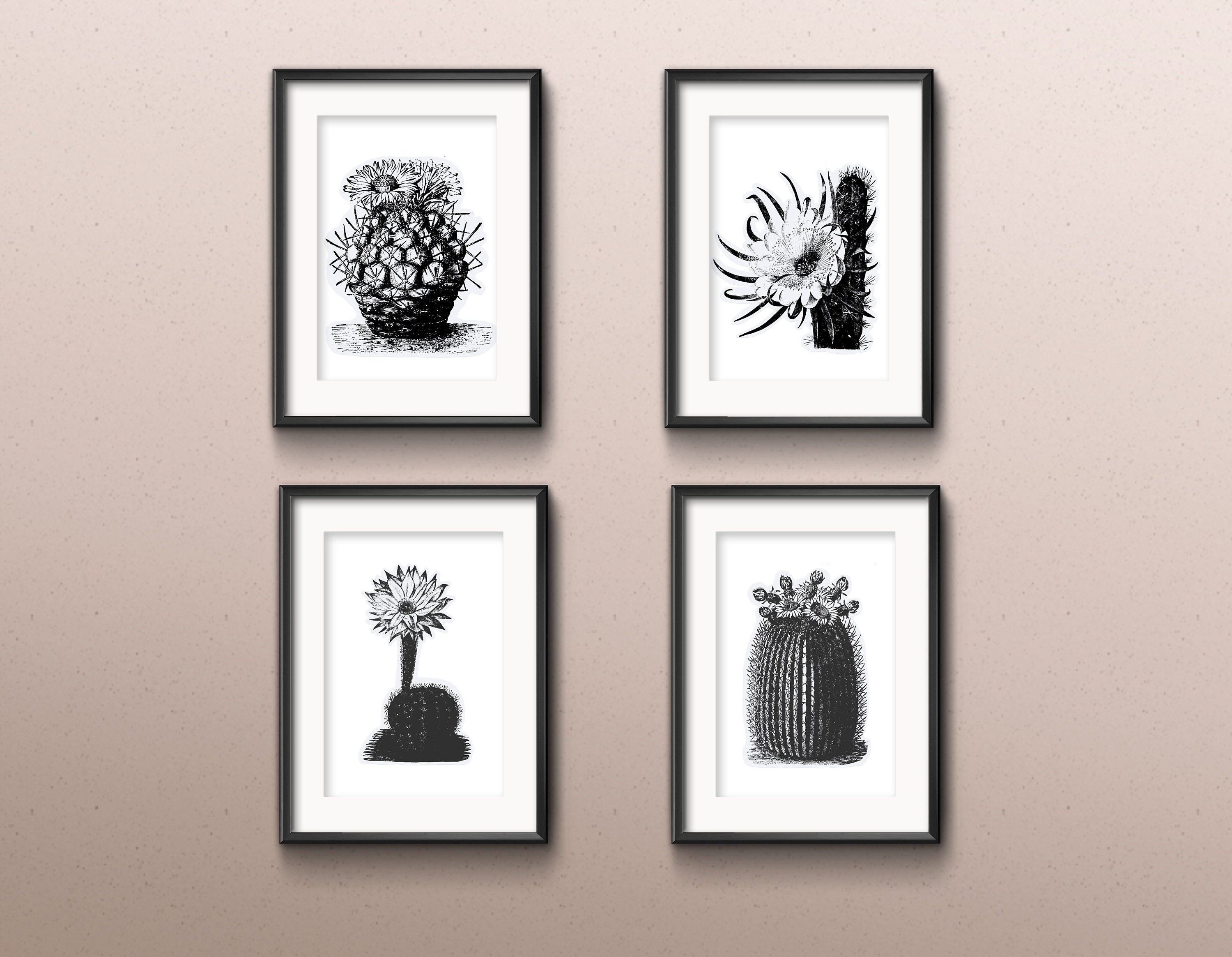 Cactus Flowers Clip Art Set, Cactus Flower Digital Stamps, Cactus Black ...