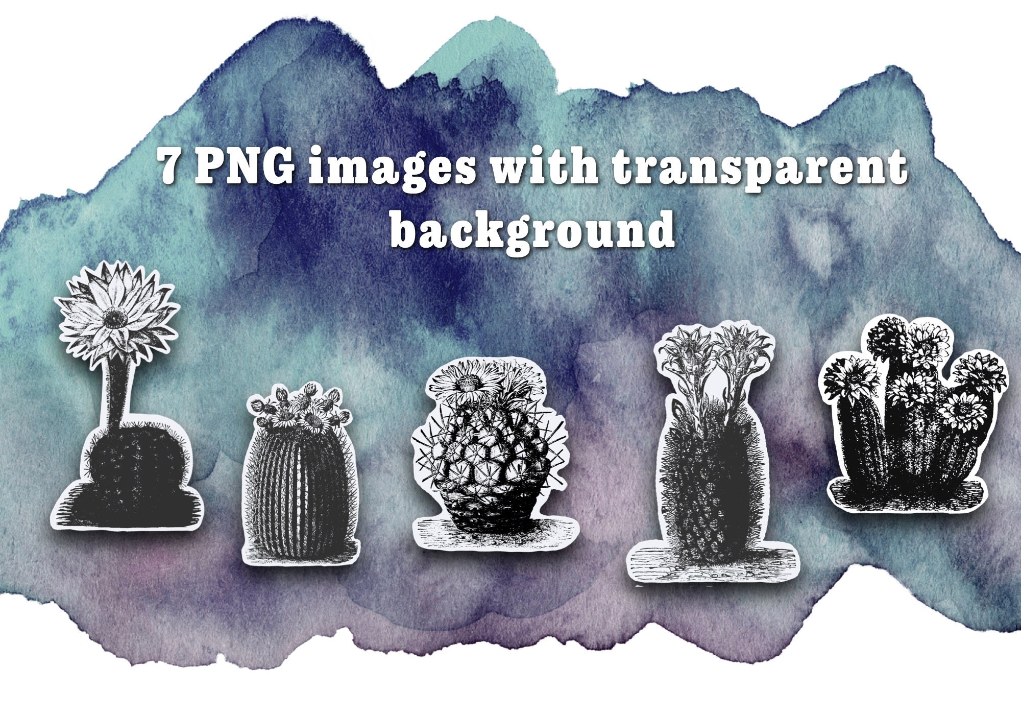 Cactus Flowers Clip Art Set, Cactus Flower Digital Stamps, Cactus Black ...