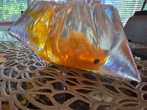 Fish in a Bag Soap Featuring (soap-) Goldfish (no Toy Parts) - Etsy