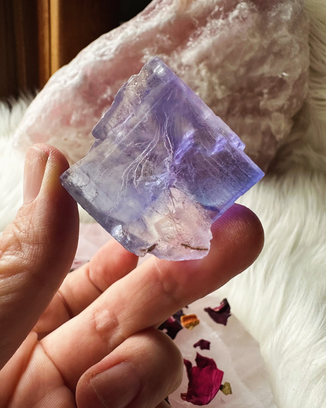 Rare Lavender Purple/ Blue Halite From Saskatchewan - Etsy