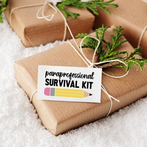 Paraprofessional Survival Kit SVG PNG Paraprofessional Appreciation ...