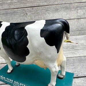 Vintage Cow Store Display True Type Holstein Friesian Cow Brattleboro ...