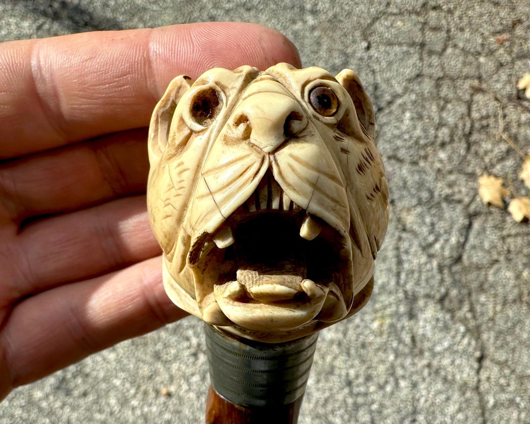 Antique BULLDOG Walking Stick, Swagger Stick, Victorian Cane, Carved ...