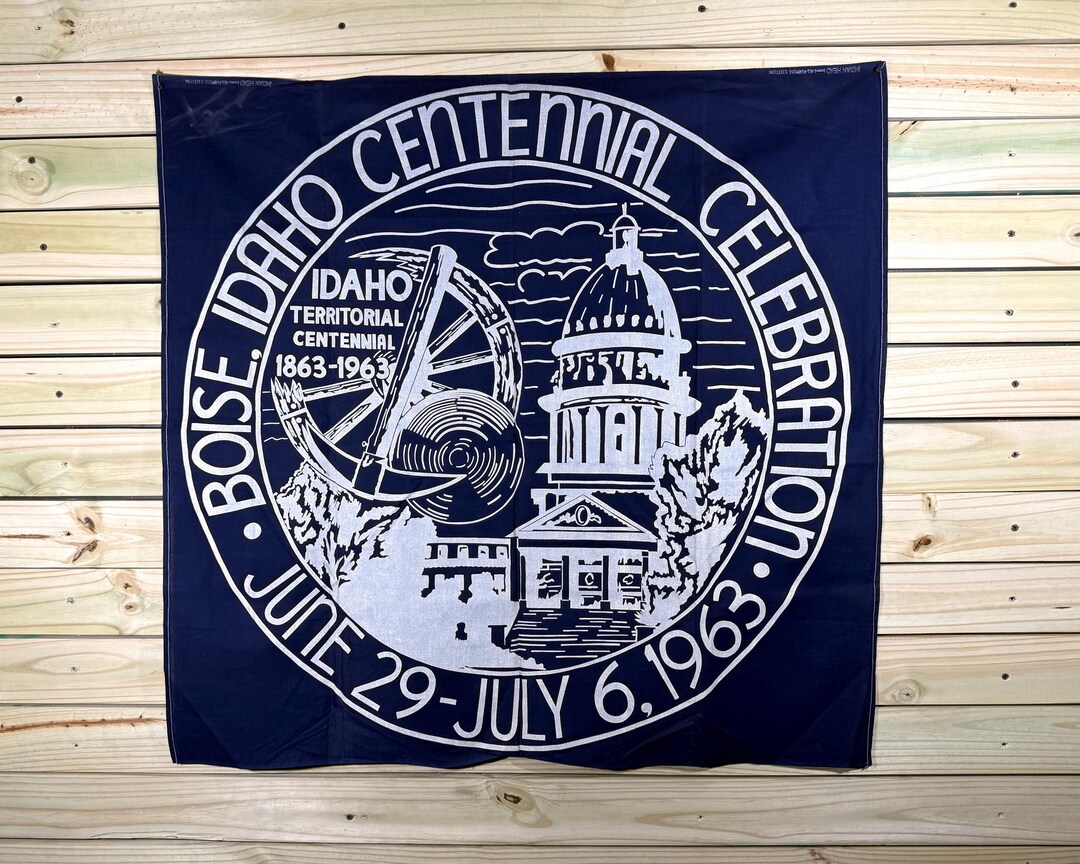 Boise Idaho Centennial Flag 1963, Vintage Wall Hanging Banner, Wall Art ...