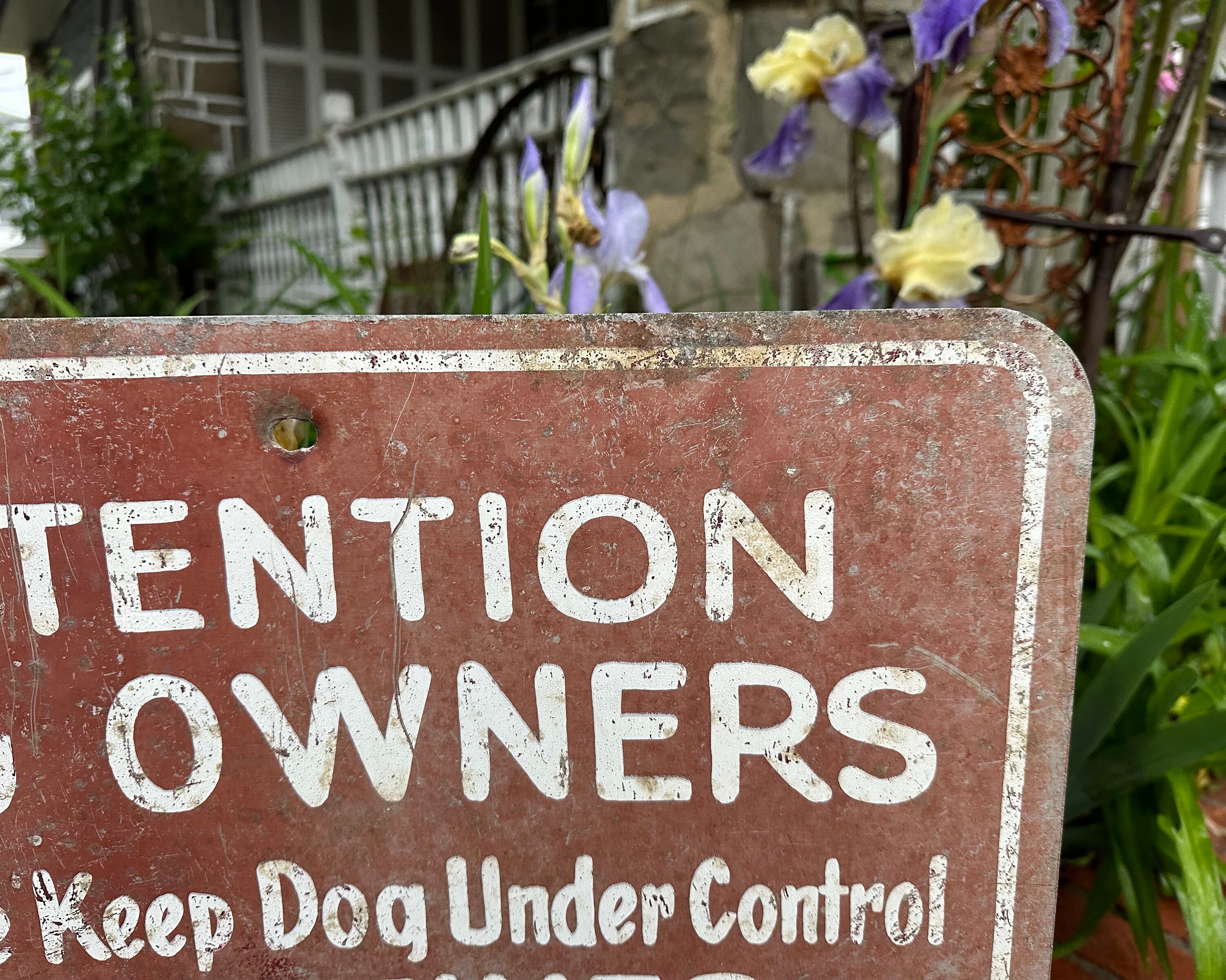Vintage Aluminum Dog Owners Sign: Hand-painted Folk Art, 1960s - Etsy