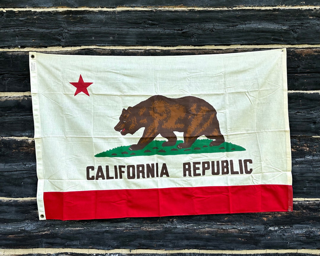 Vintage California Republic Bear Flag: Worn CA Wall Decor (4.5 Ft X 3 ...