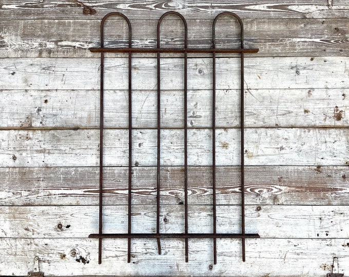 Antique Garden Fence Wrought Iron Hairpin Fence Victorian Gate Outdoor ...