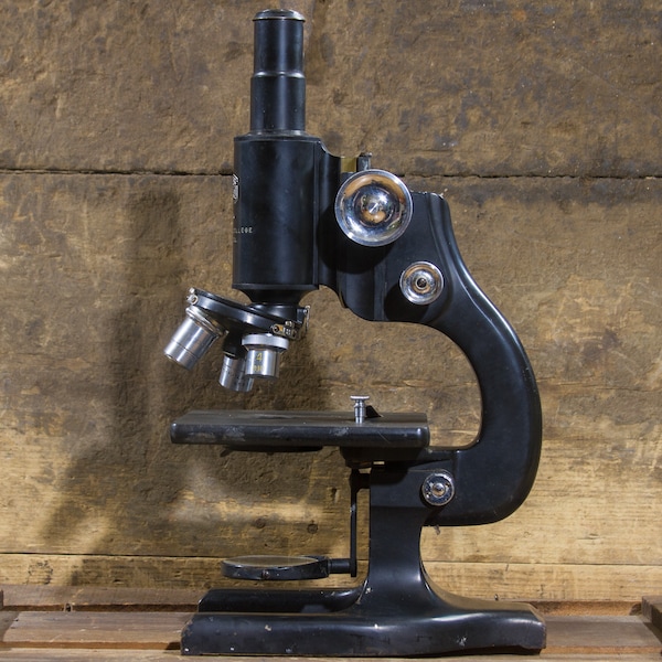 Steampunk Science - Etsy