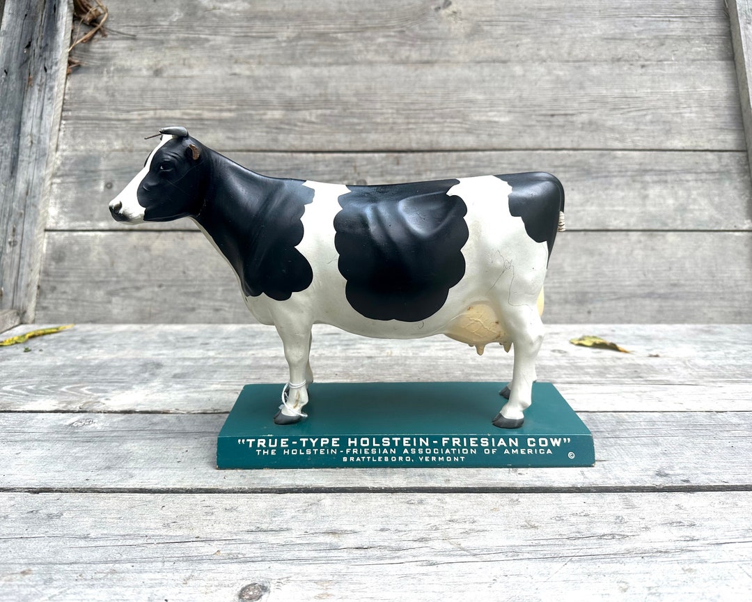 Vintage Cow Store Display True Type Holstein Friesian Cow Brattleboro ...