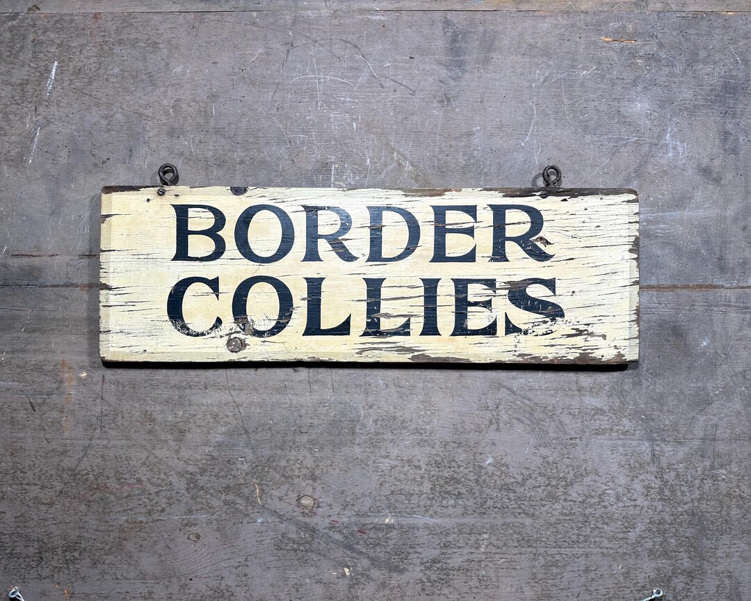 Vintage Dog Sign, Dog Breeder Sign, BORDER COLLIES, Wall Hanging Decor ...