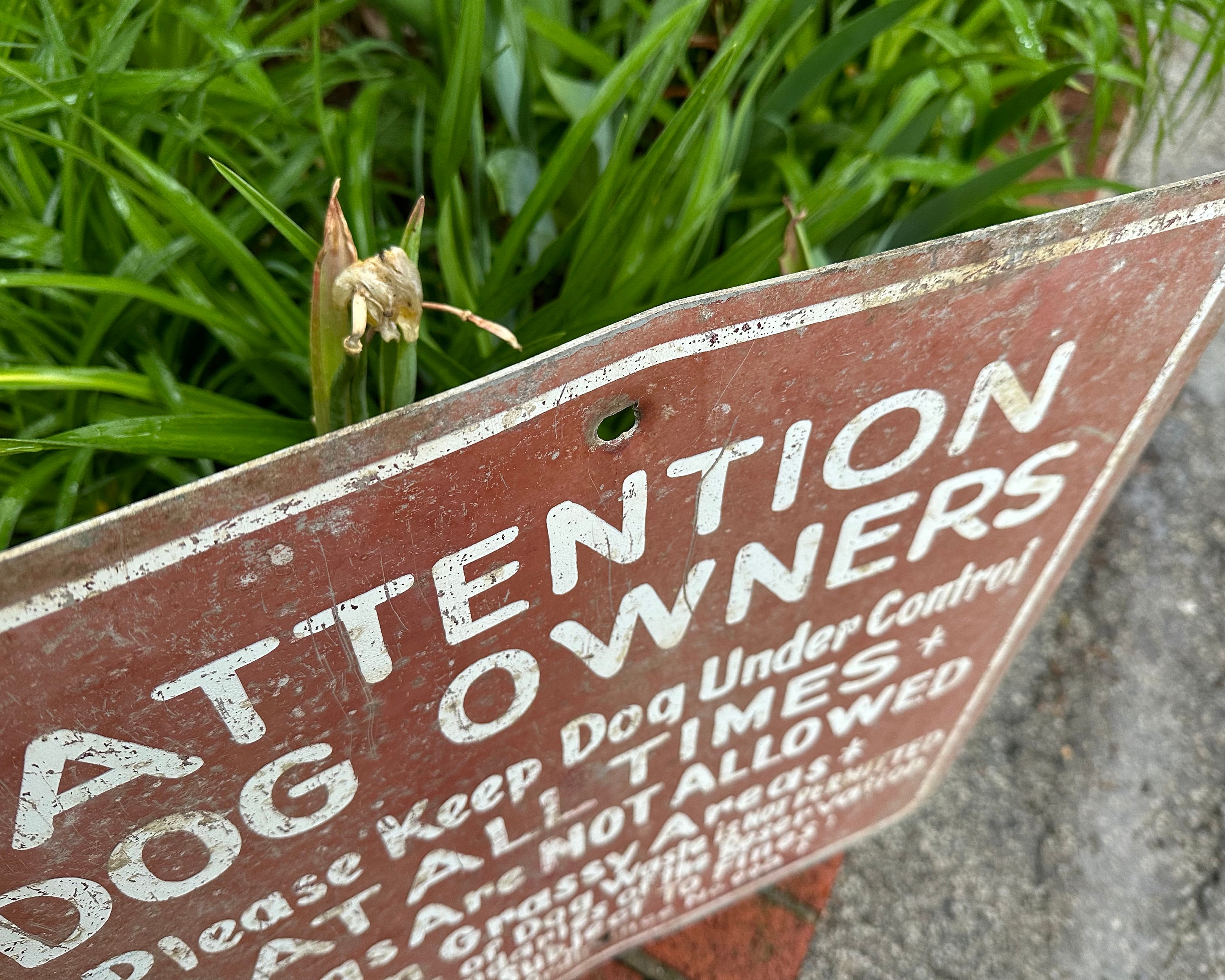Vintage Aluminum Dog Owners Sign: Hand-painted Folk Art, 1960s - Etsy