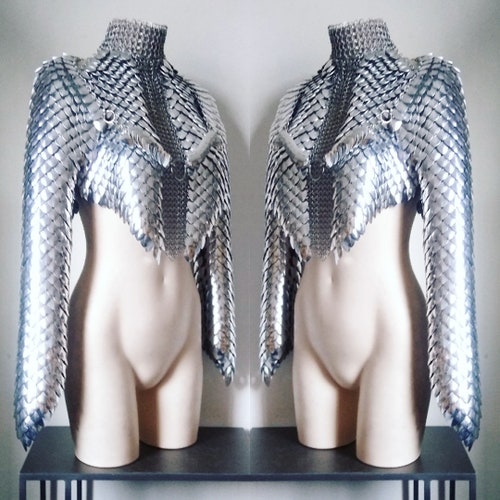 Scalemail and Chainmail Harness silver Mirror ONE OF A - Etsy