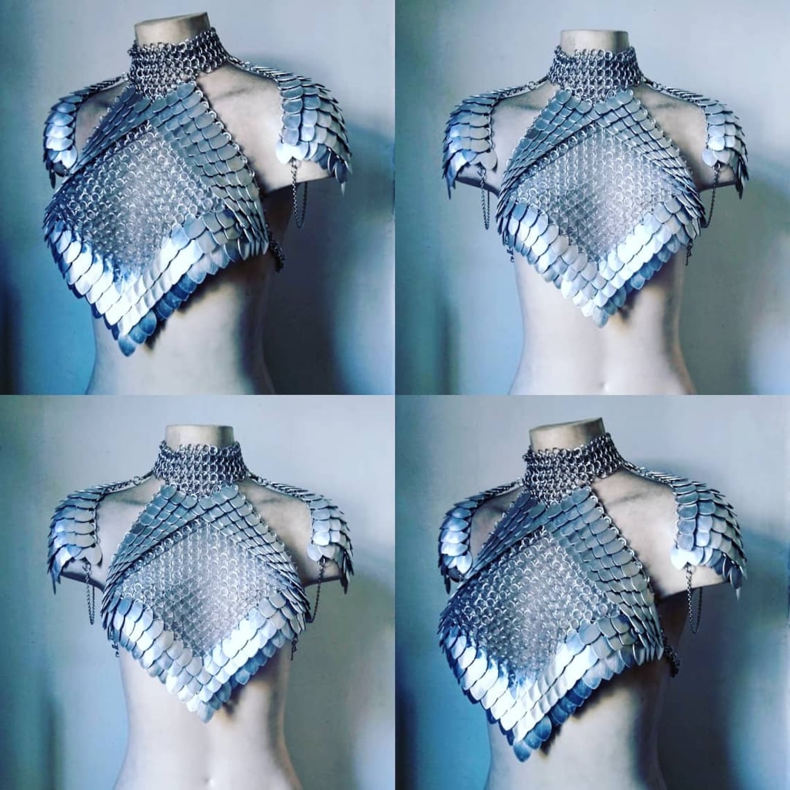 Scalemail and Chainmail Harness silver Mirror ONE OF A - Etsy