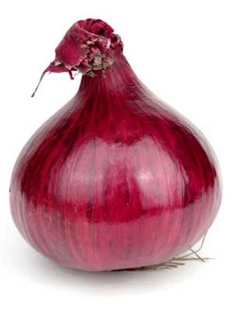 Organic NON-GMO Red Grano Onion Medium Sized Red Onions That - Etsy Canada
